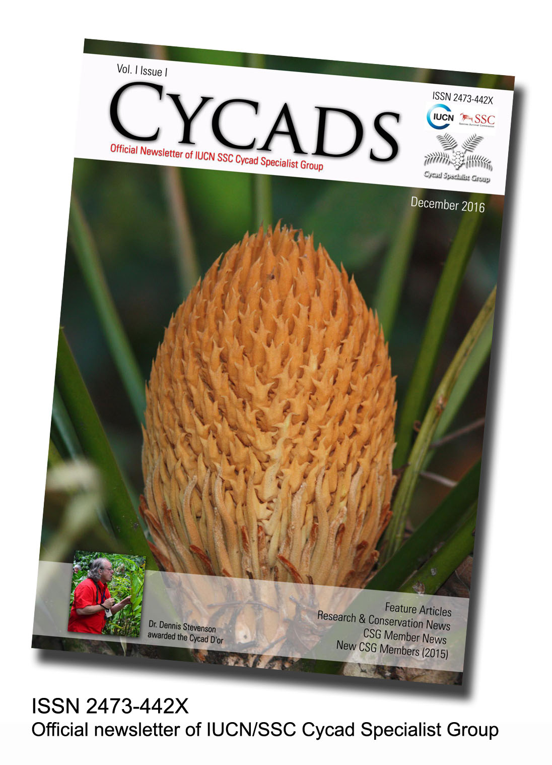 “Cycads”, official newsletter of the CSG – IUCN / SSC Cycad Specialist ...