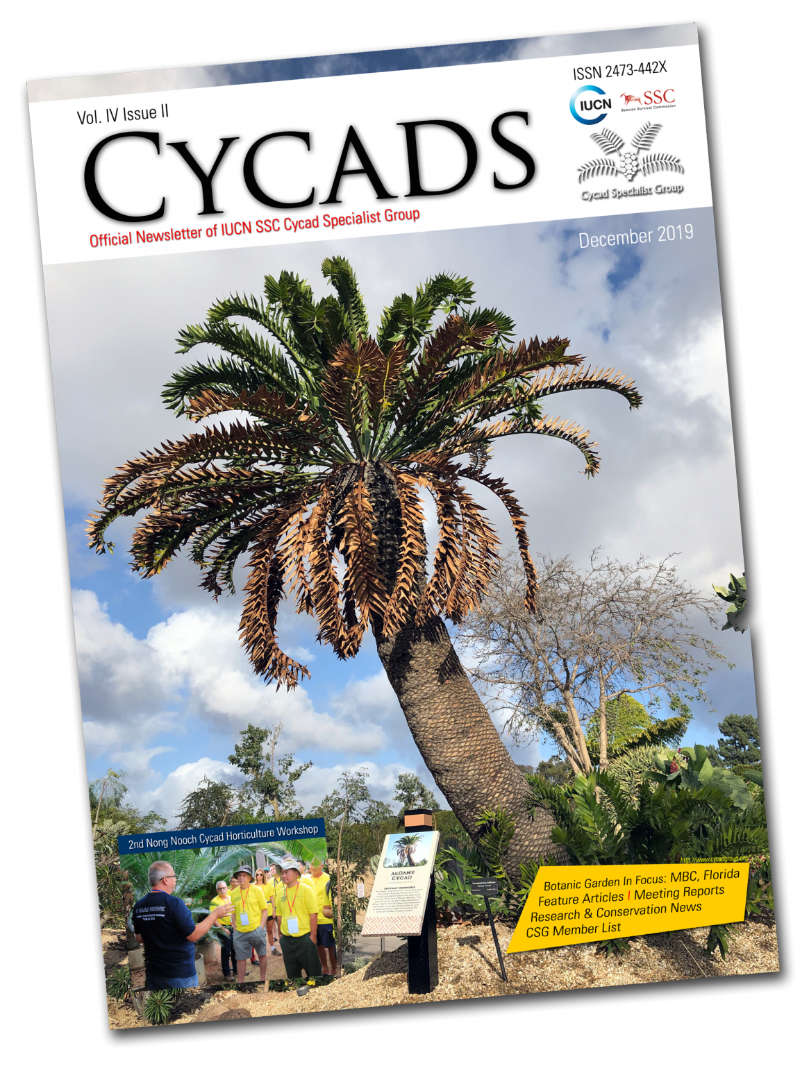 IUCN / SSC Cycad Specialist Group